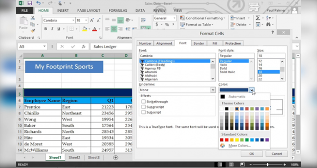 Formatting a Worksheet in Excel 2013 | Lecturio