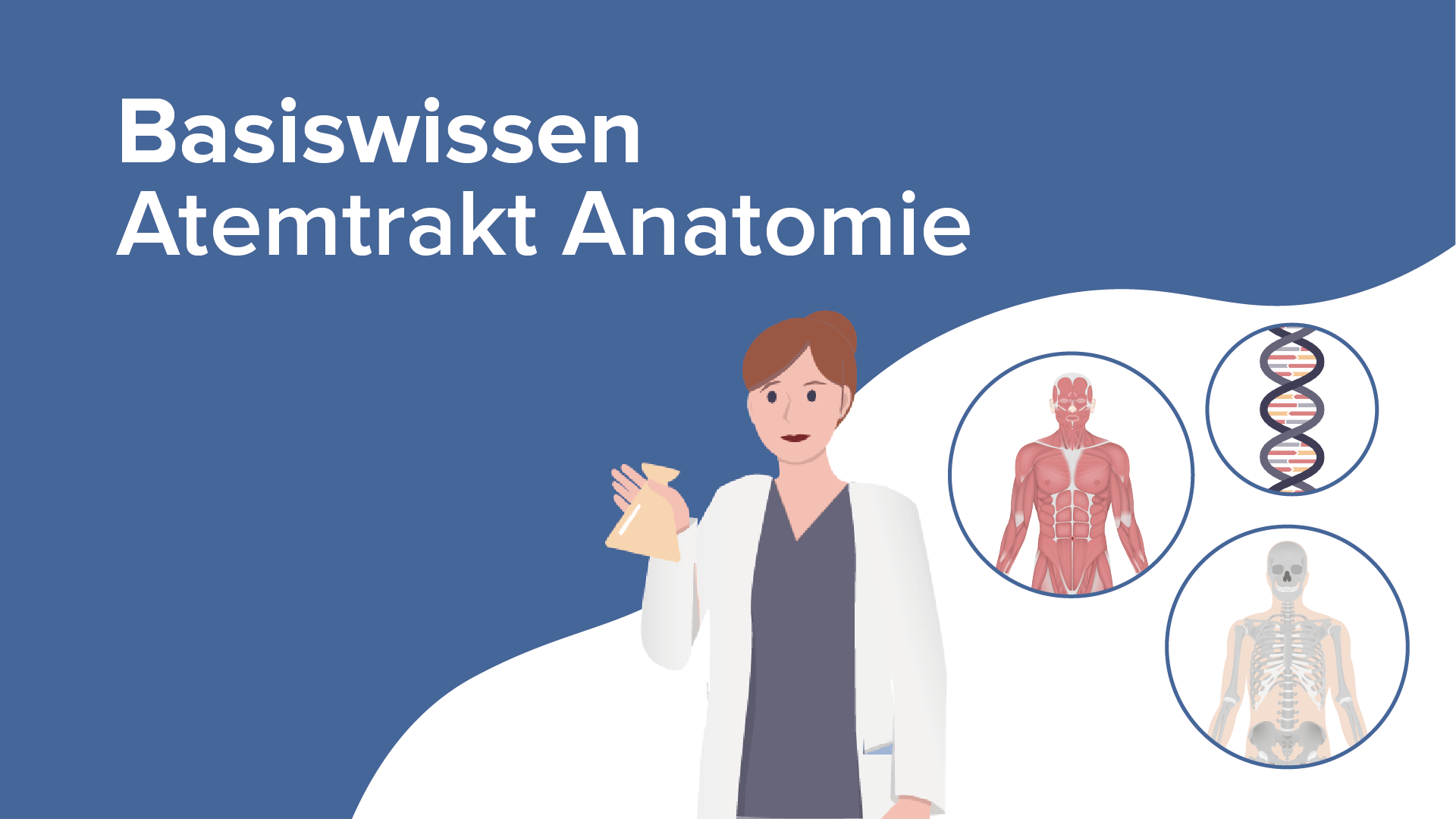Atemtrakt: Funktionsprinzip – Online Anatomie Kurs | Lecturio