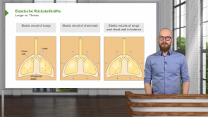 Atemmechanik – Online Physiologie Kurs | Lecturio