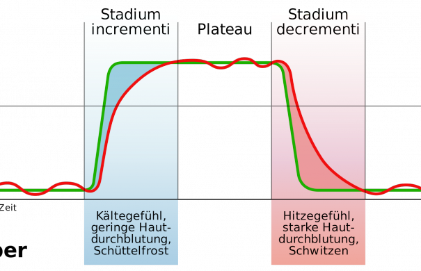 Fieber, Febris | Medizin-Lexikon | Online Lernen mit Lecturio