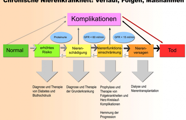 Niereninsuffizienz, Nierenversagen | Medizin-Lexikon