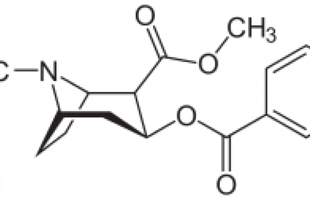 Kokain, Cocain | Medizin-Lexikon | Online Lernen mit Lecturio