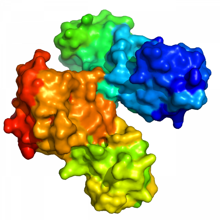 Eiweiß, Protein | Medizin-Lexikon | Online Lernen mit Lecturio