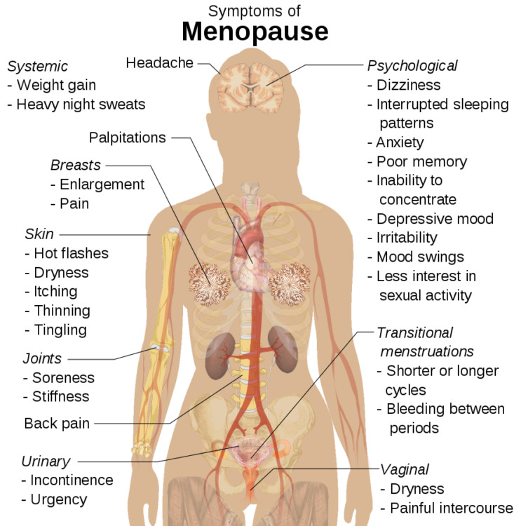 Primary Ovarian Insufficiency (POI) — Symptoms and Treatment Primary Ovarian Insufficiency (POI) — Symptoms and Treatment