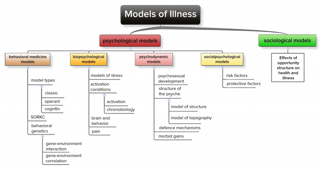 important groups of health and disease models in medicine