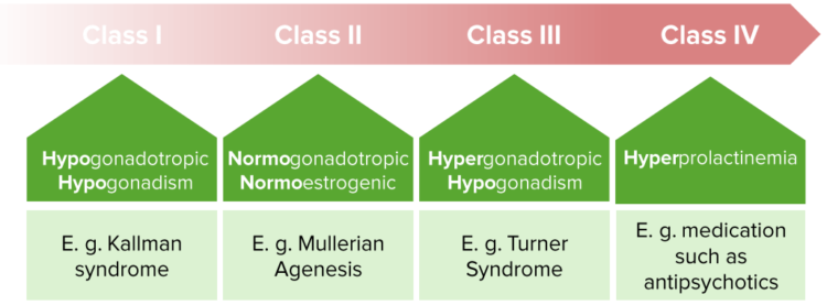 Amenorrhea in Adults — Causes and Management | Medical Magazine